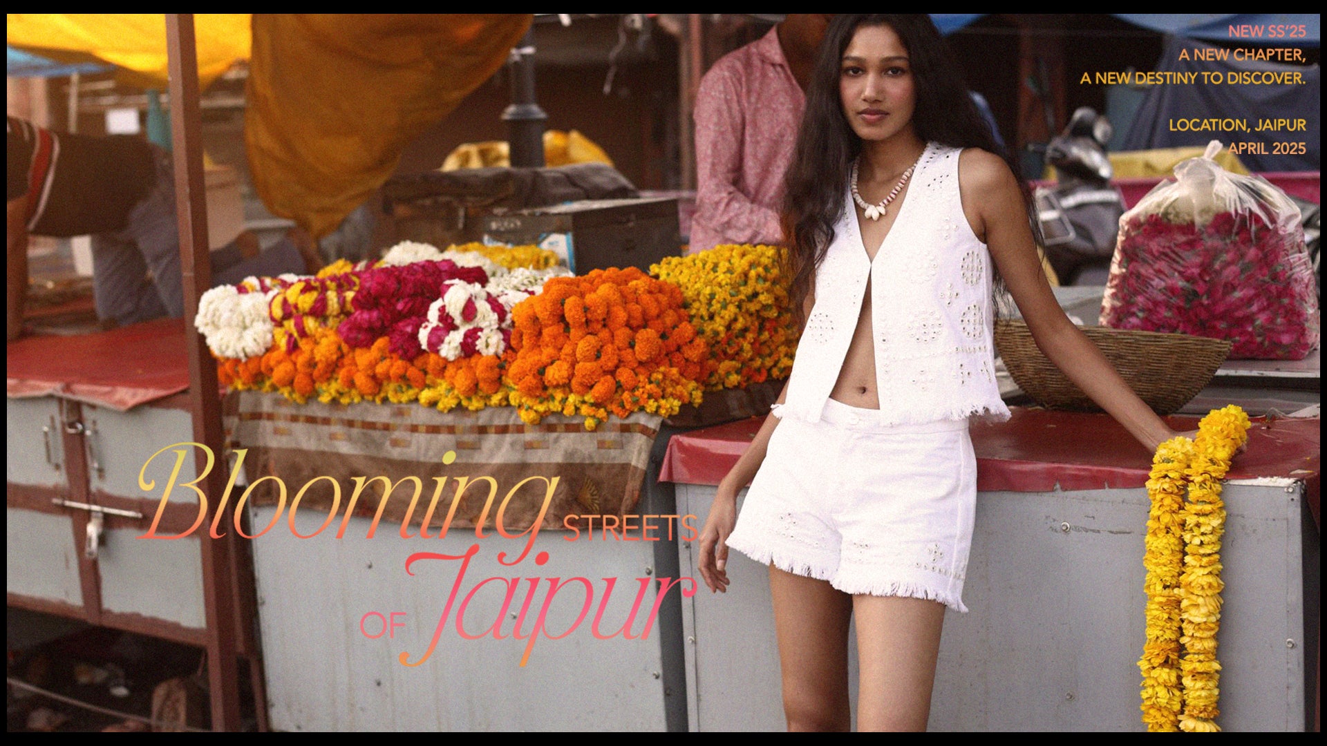 NOON | Nova coleção on-line – Noon